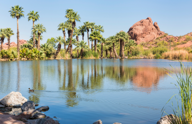 Phoenix Water Quality in 2025: What You Should Know